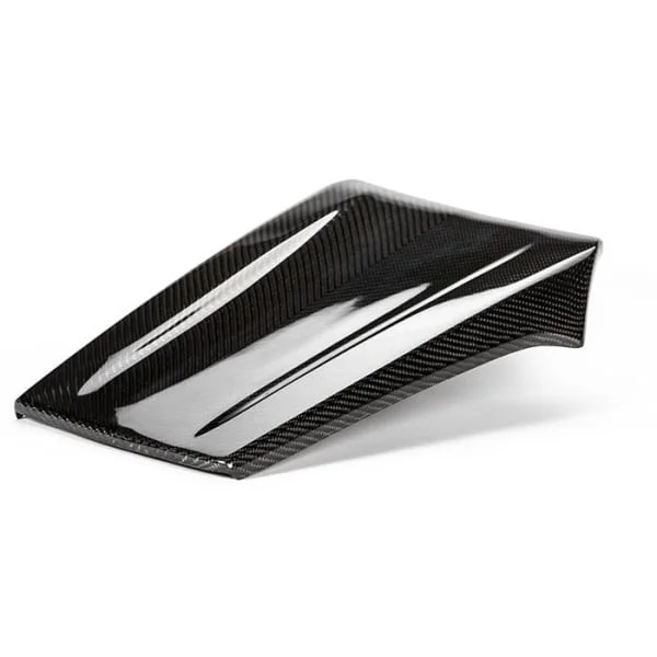 Front Service Panel in Carbon Fibre - Elise Shop