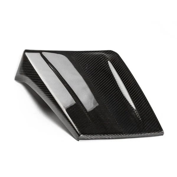 Front Service Panel in Carbon Fibre - Elise Shop